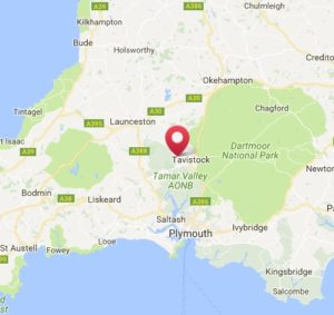 Home - Tavy Turf